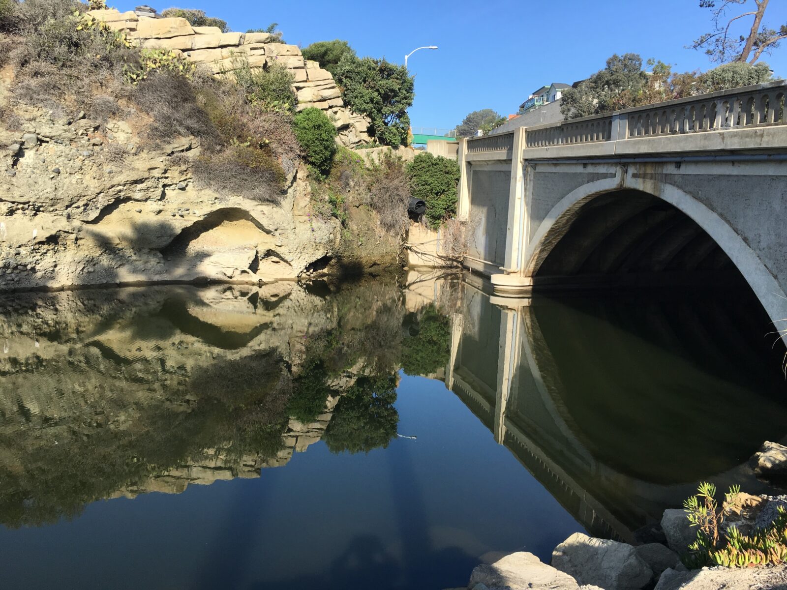 Aliso Creek Estuary Restoration — Environmental Science Associates