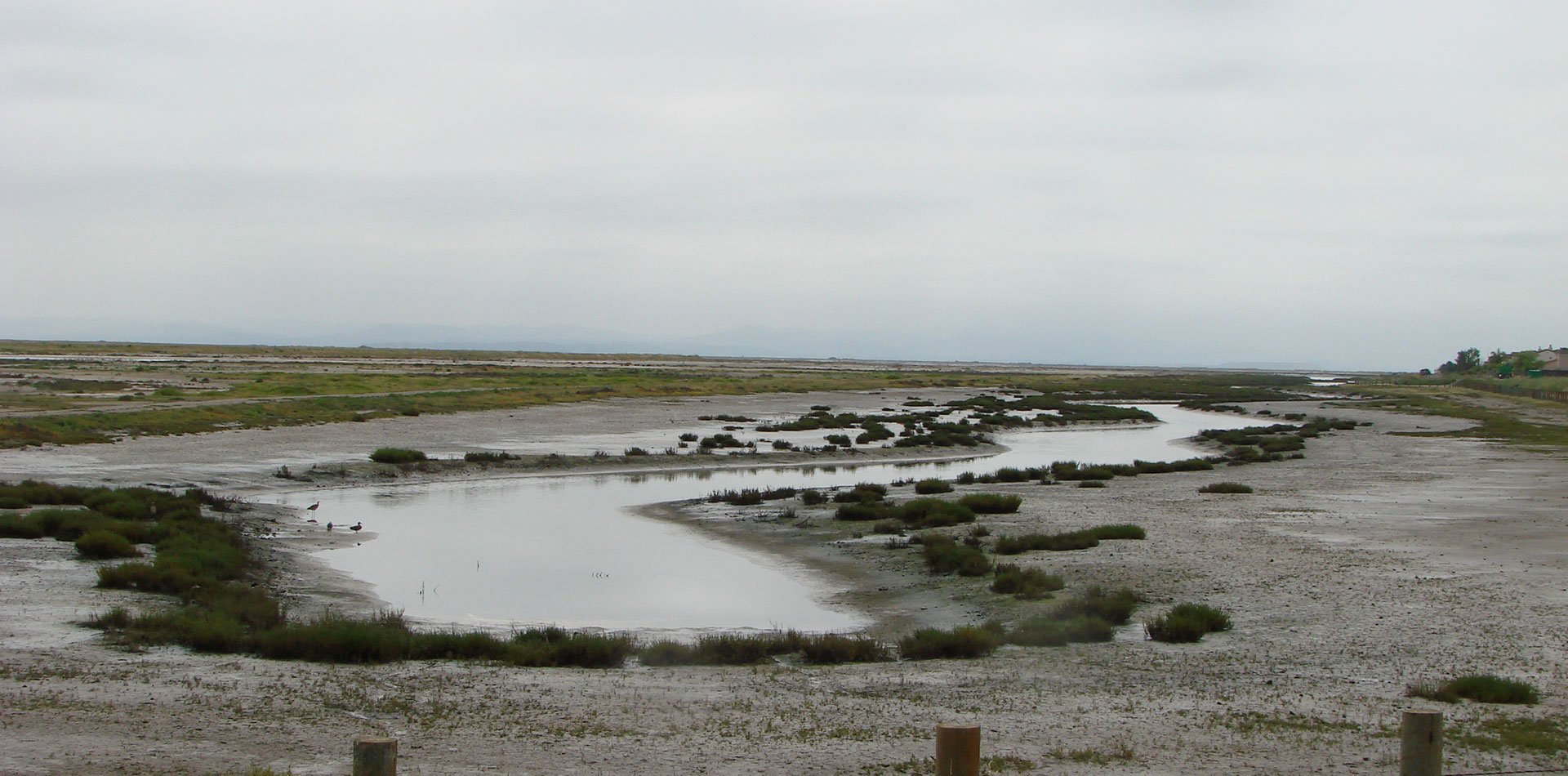 Hamilton Tidal Wetlands Restoration — Environmental Science Associates