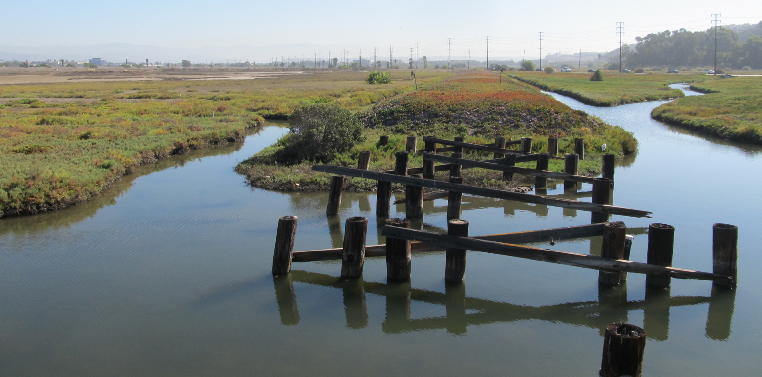 Wetland Restoration — Environmental Science Associates