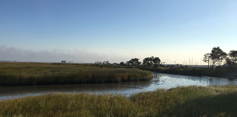 Restored and Resilient: Bay Point Regional Shoreline Opens ...