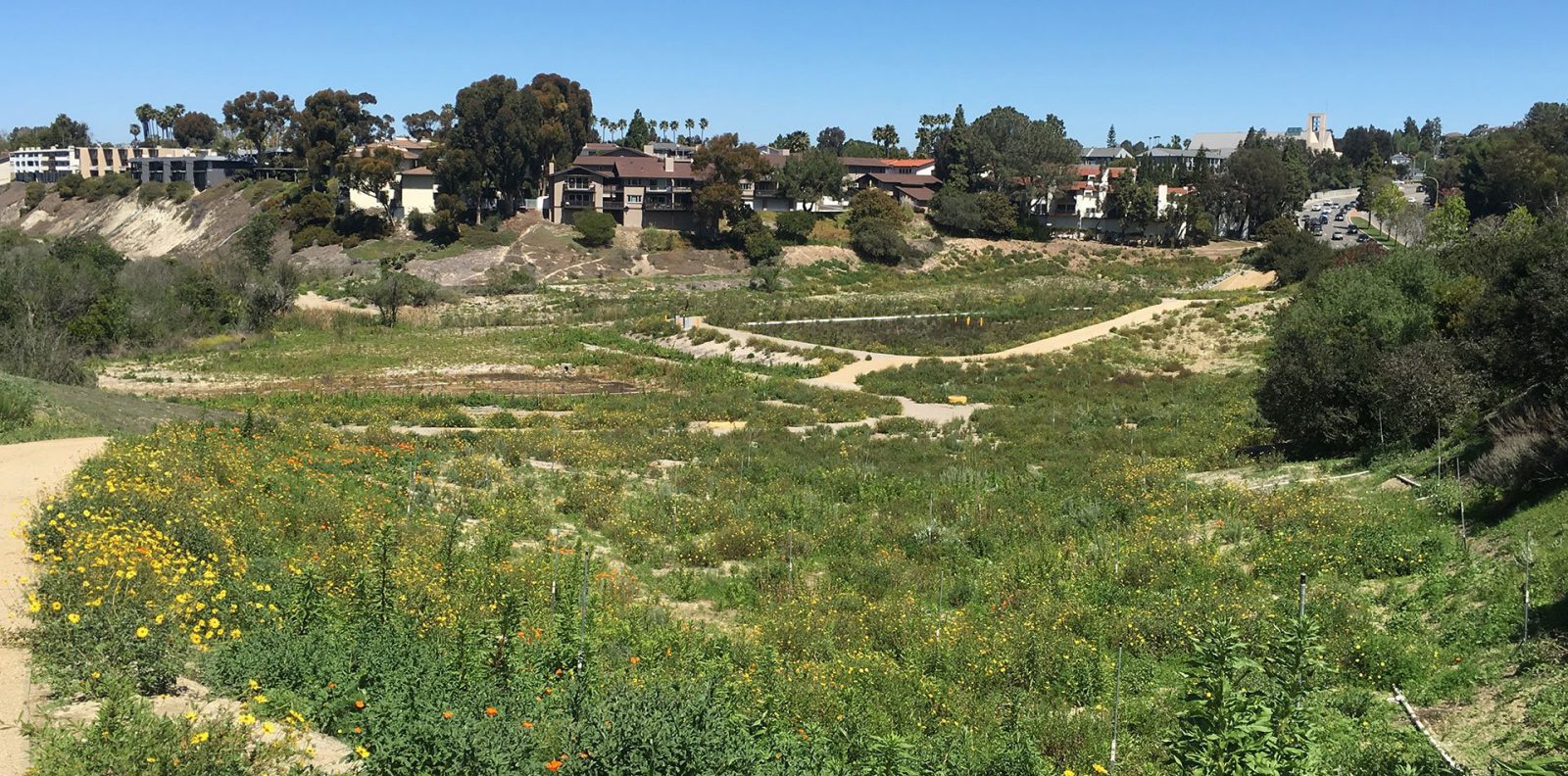 Big Canyon Coastal Habitat Restoration and Adaptation Project ...