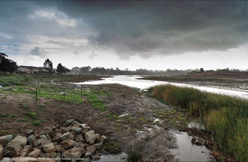 Upper Devereux Slough Restoration — Environmental Science Associates