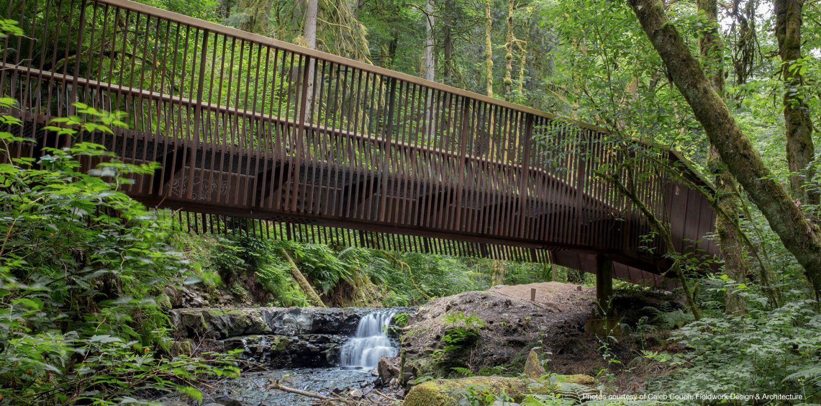 Forest Park Trail Bridges — Environmental Science Associates