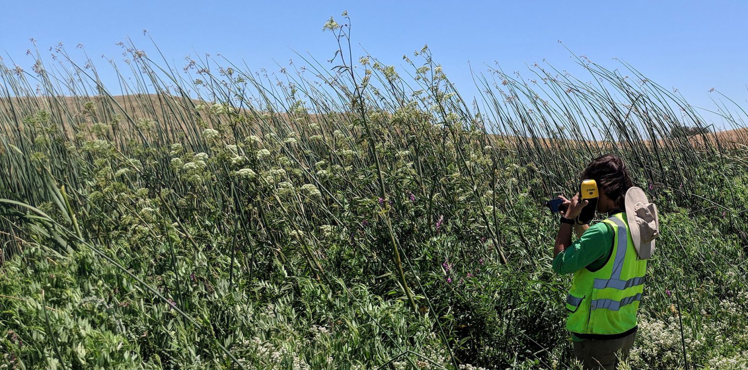 Working Clean: A Guide to Curbing the Introduction of Invasive Species ...