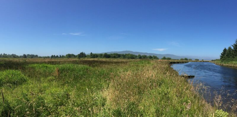 Natural Resources — Environmental Science Associates