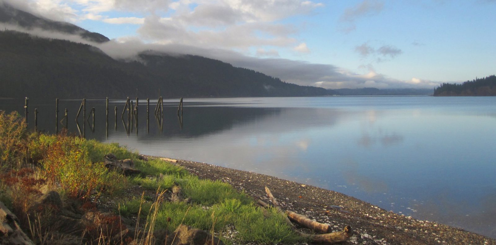 Puget Sound Nearshore Ecosystem Restoration Project — Environmental ...