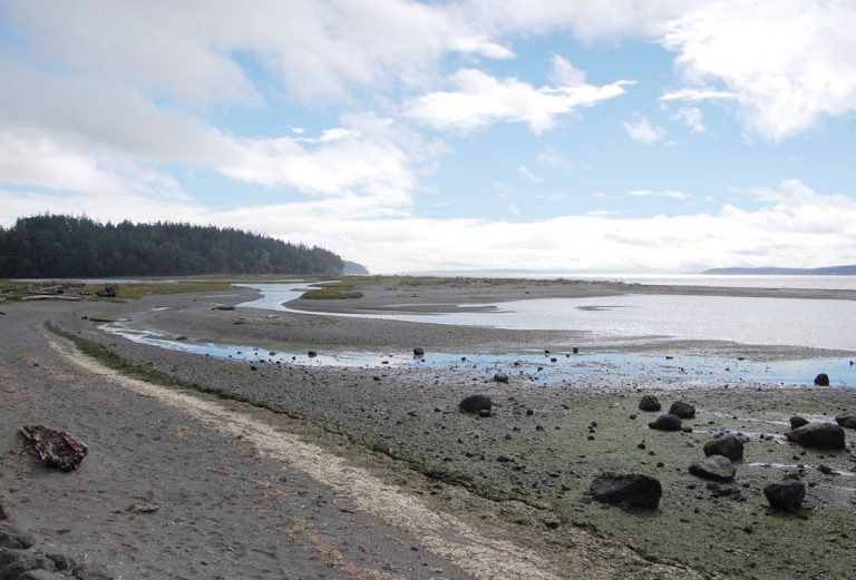 Puget Sound Nearshore Ecosystem Restoration Project — Environmental ...