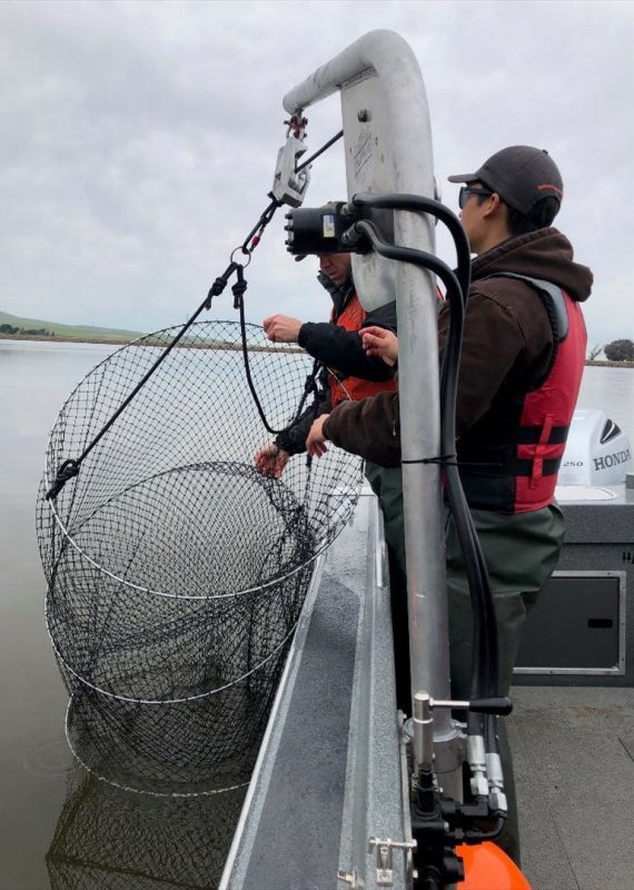 Predatory Fish Relocation Study — Environmental Science Associates