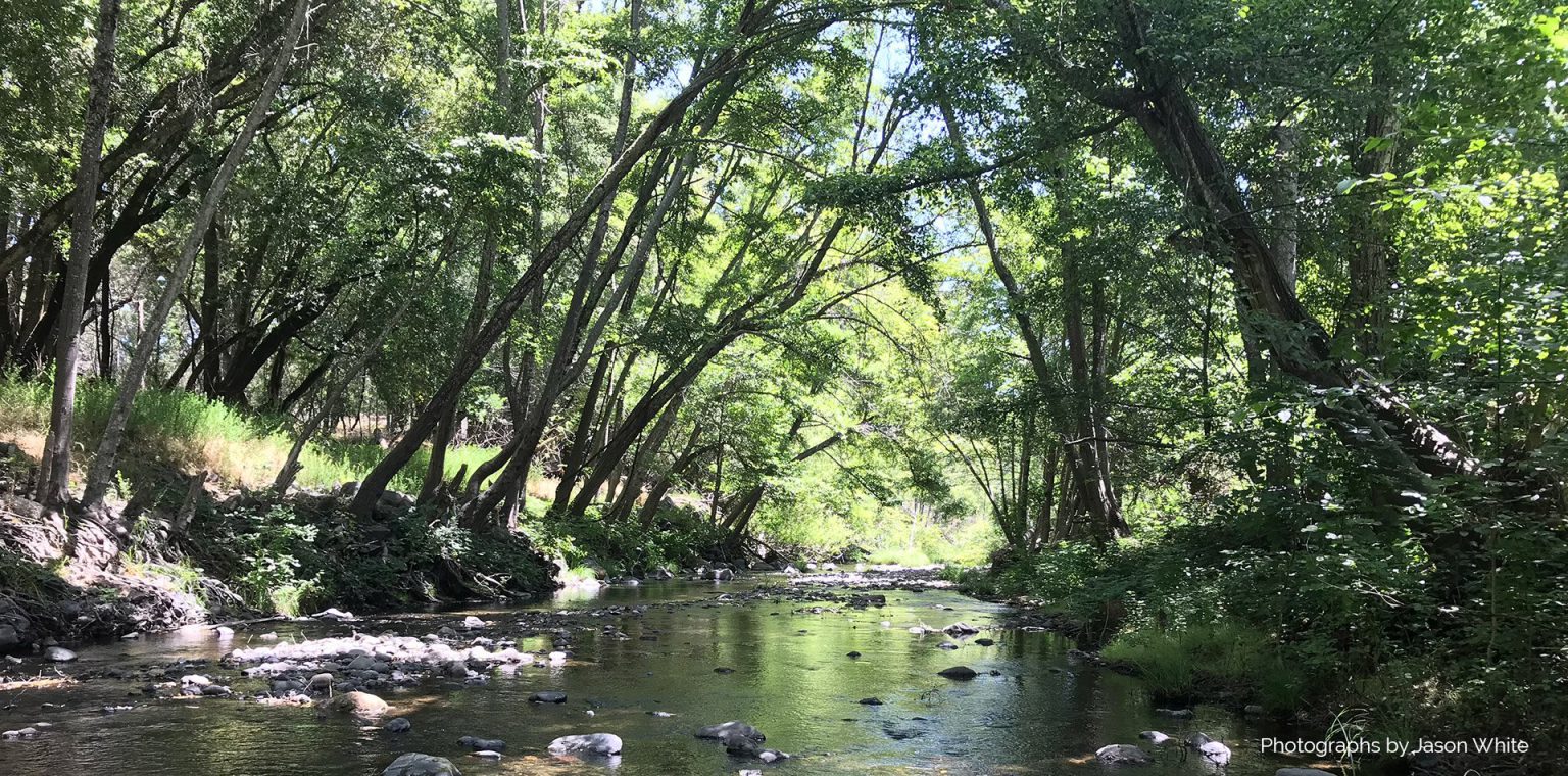 A Holistic Approach to Healthier Rivers — Environmental Science Associates