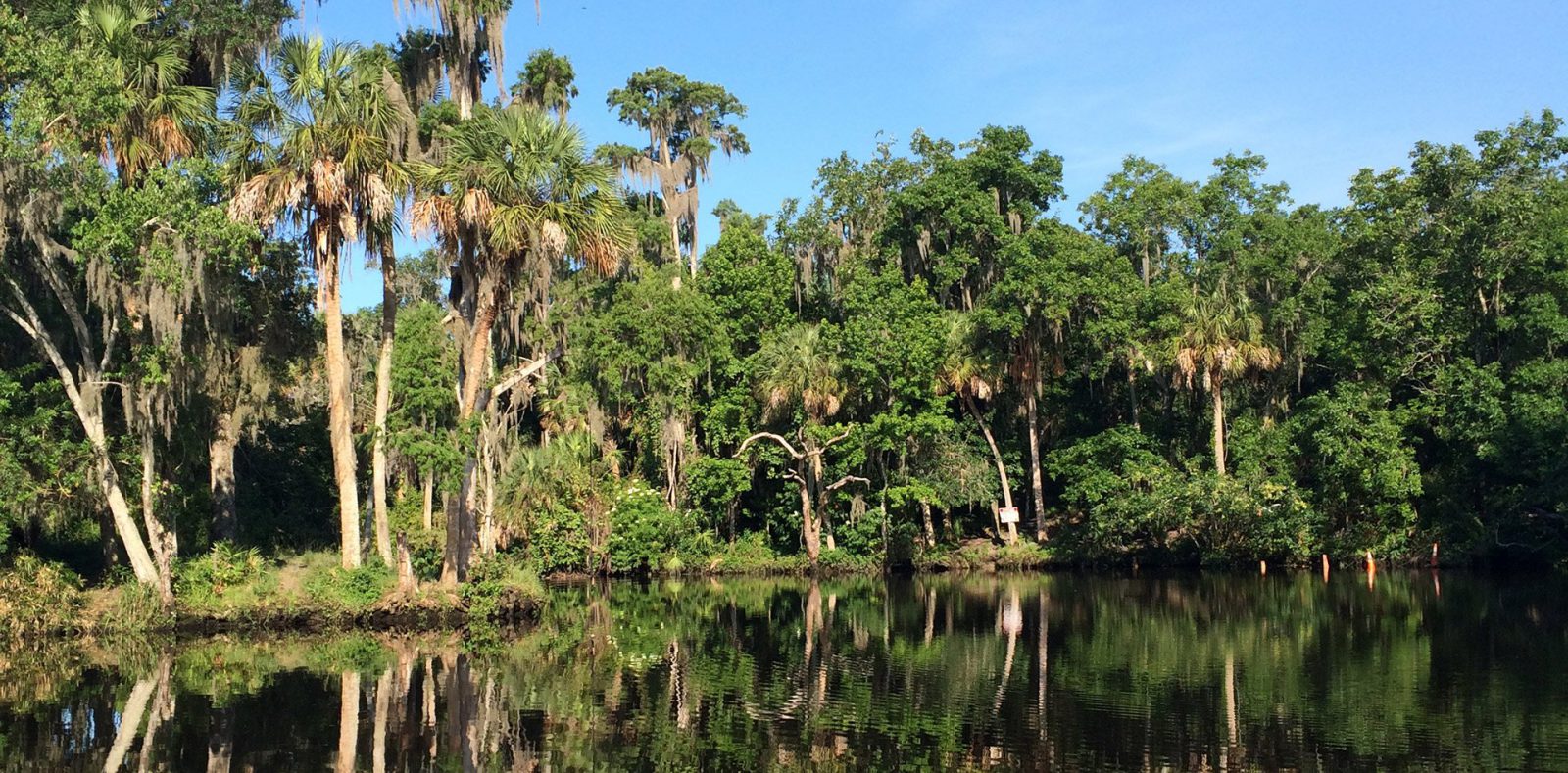 Water — Environmental Science Associates