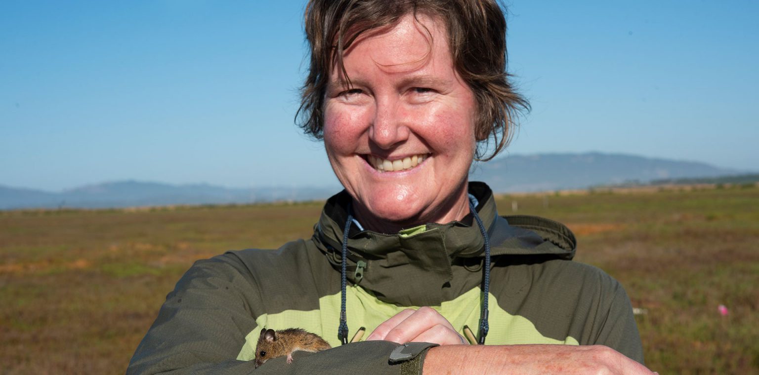 ESA Biologist Erika Walther Receives Salt Marsh Harvest Mouse Permits ...