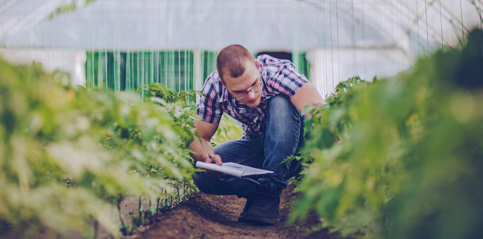 Technology — Environmental Science Associates
