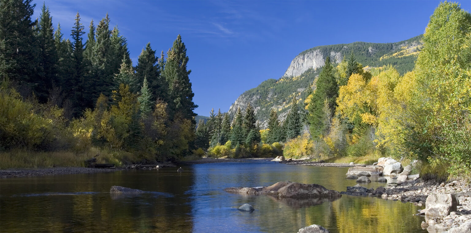 Montana DNRC Trust Lands Management System — Environmental Science ...