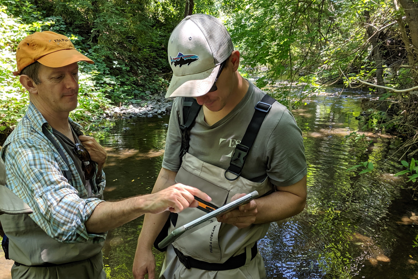 Data Collection and Analysis — Environmental Science Associates