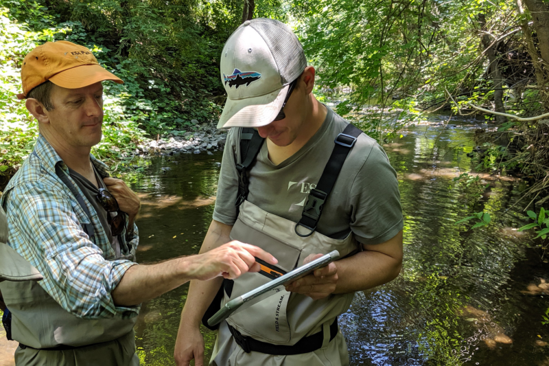 Data Collection and Analysis — Environmental Science Associates