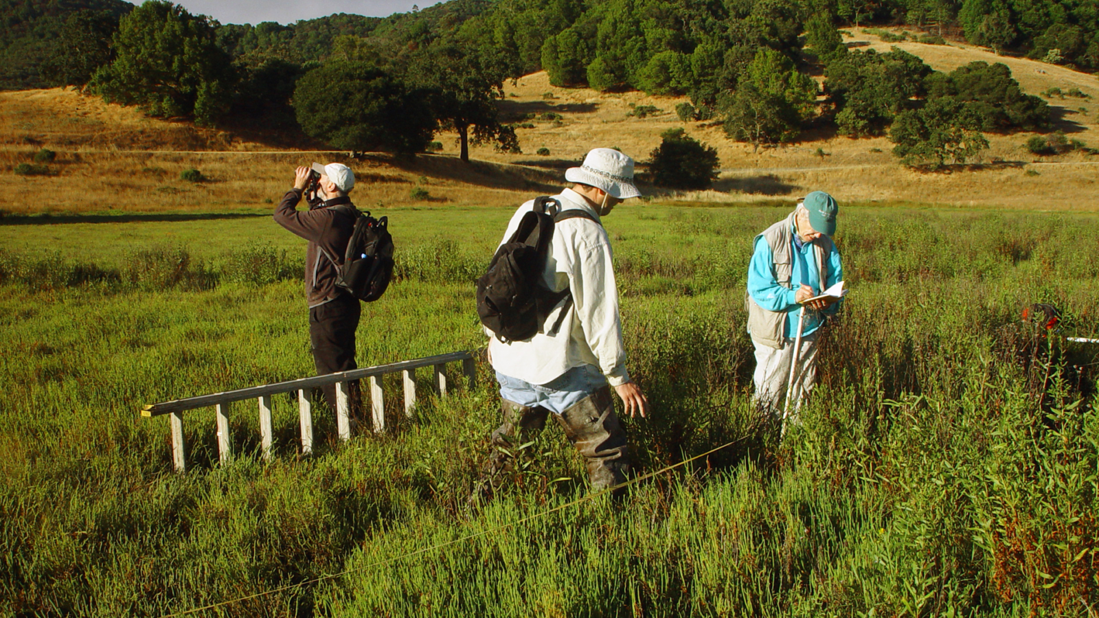 Land and Species Conservation Systems — Environmental Science Associates