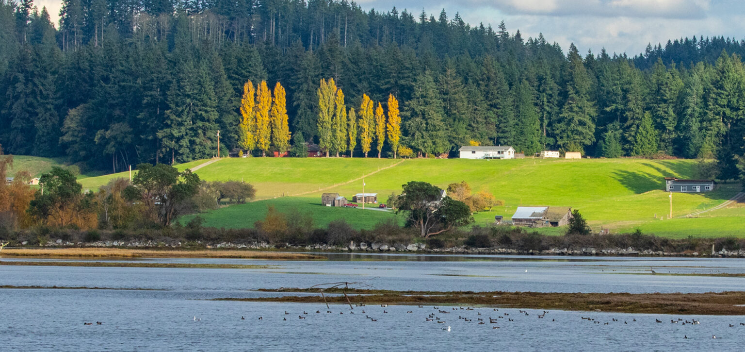 Environmental Science Associates