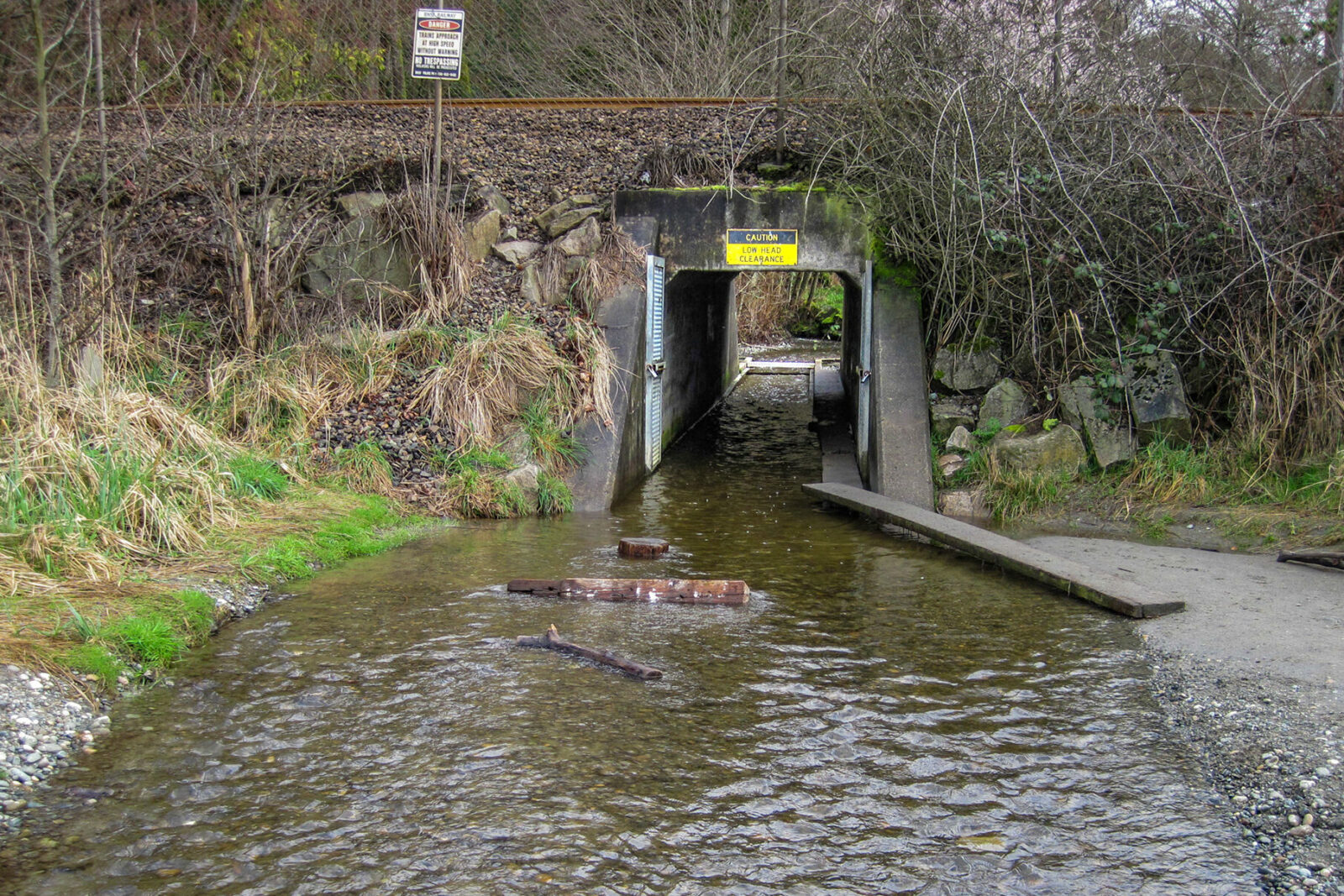 Collaborative Regional Partnerships Help Restore Habitats Along Freight ...