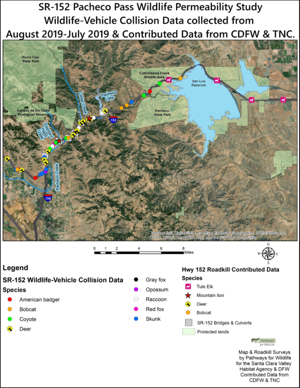 Where the Wild Things Roam: Creating Safer Crossings for Animals and ...
