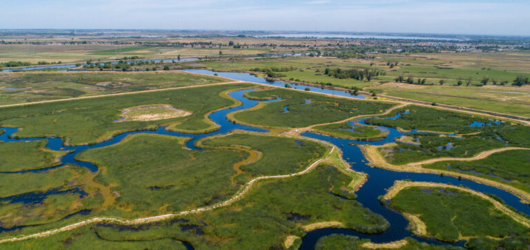 Dutch Slough Wetland Restoration — Environmental Science Associates