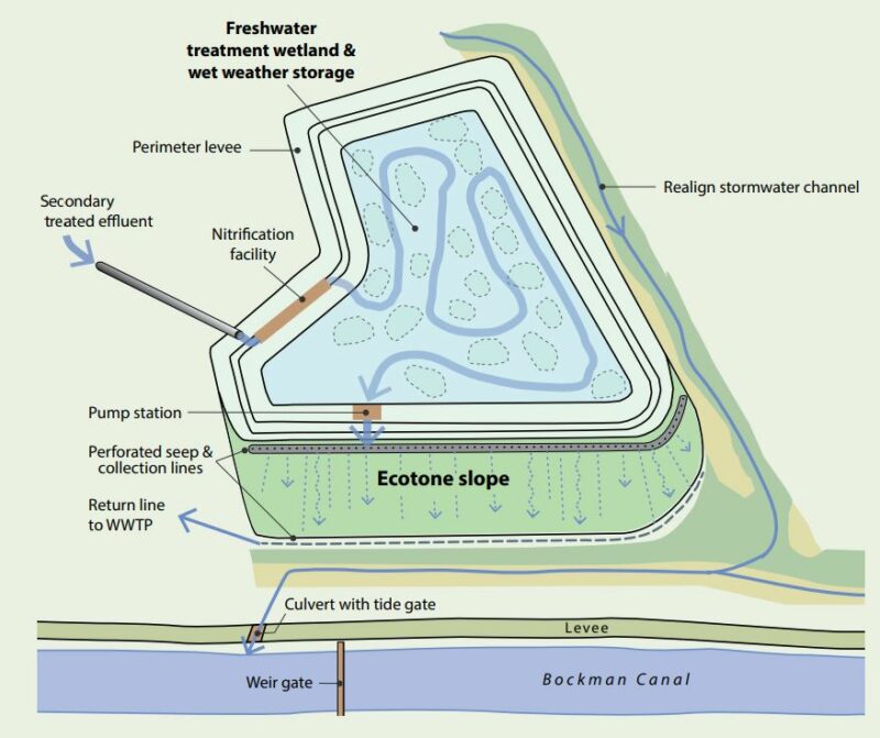 Partnering with Clients to Bring Innovative Concepts to Light ...