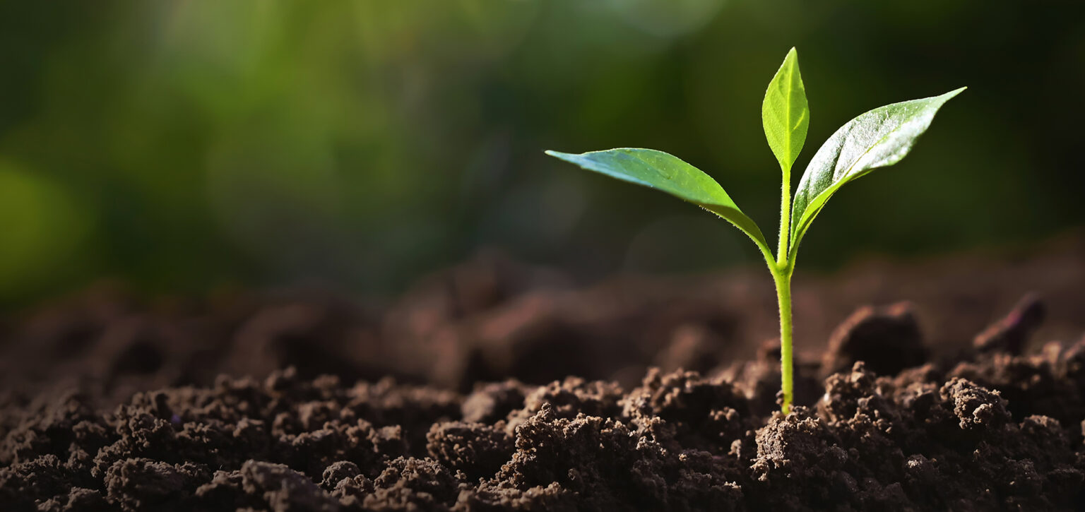 Environmental Science Associates