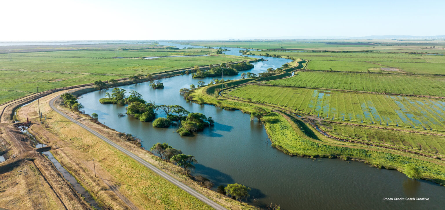 Environmental Science Associates