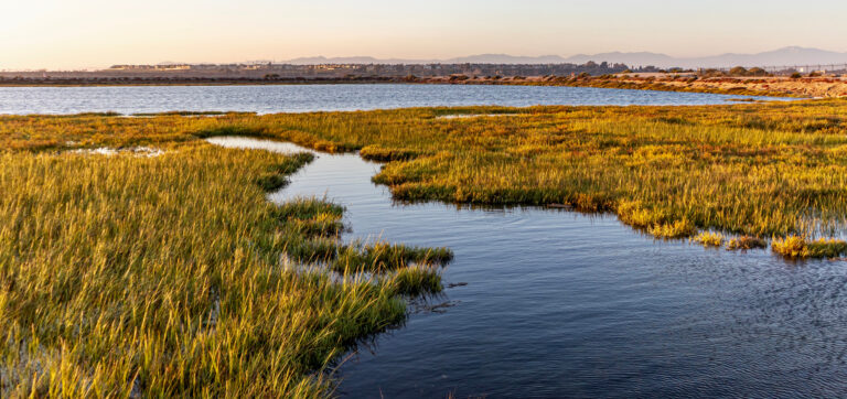 WOTUS, POTUS, and SCOTUS: Where Waters of the U.S. Stands Under the New ...