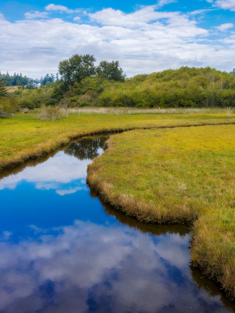 An Update on the Definition of the Waters of the U.S.