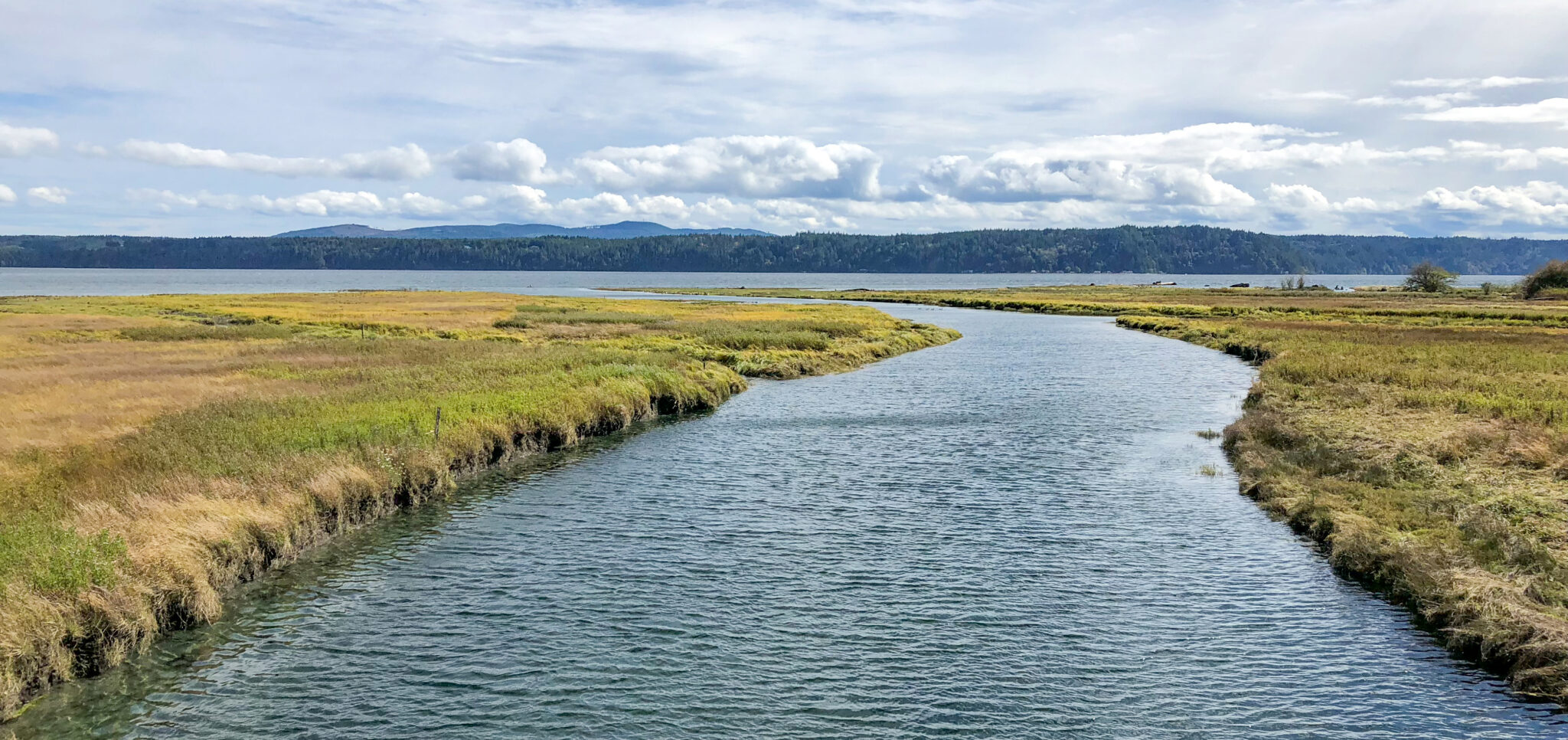 Supporting NOAA's National Marine Fisheries Service Office of Habitat ...