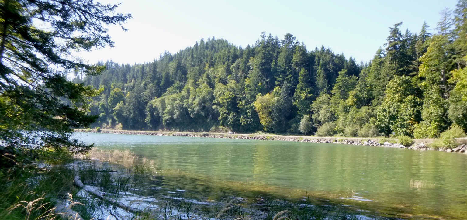 Megler Creek Fish Passage — Environmental Science Associates