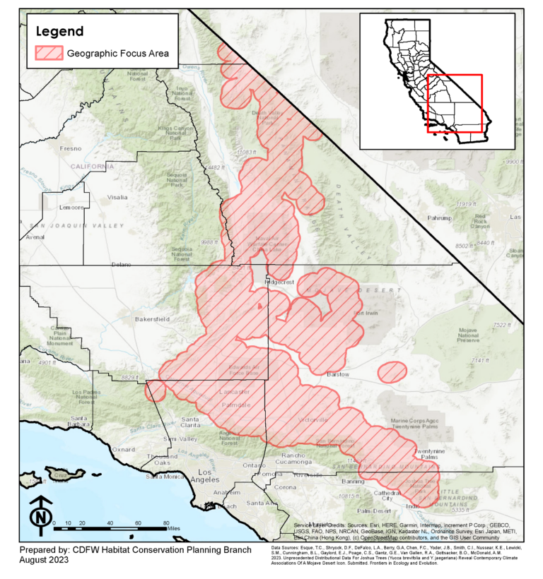 The Western Joshua Tree Conservation Act Permit Process