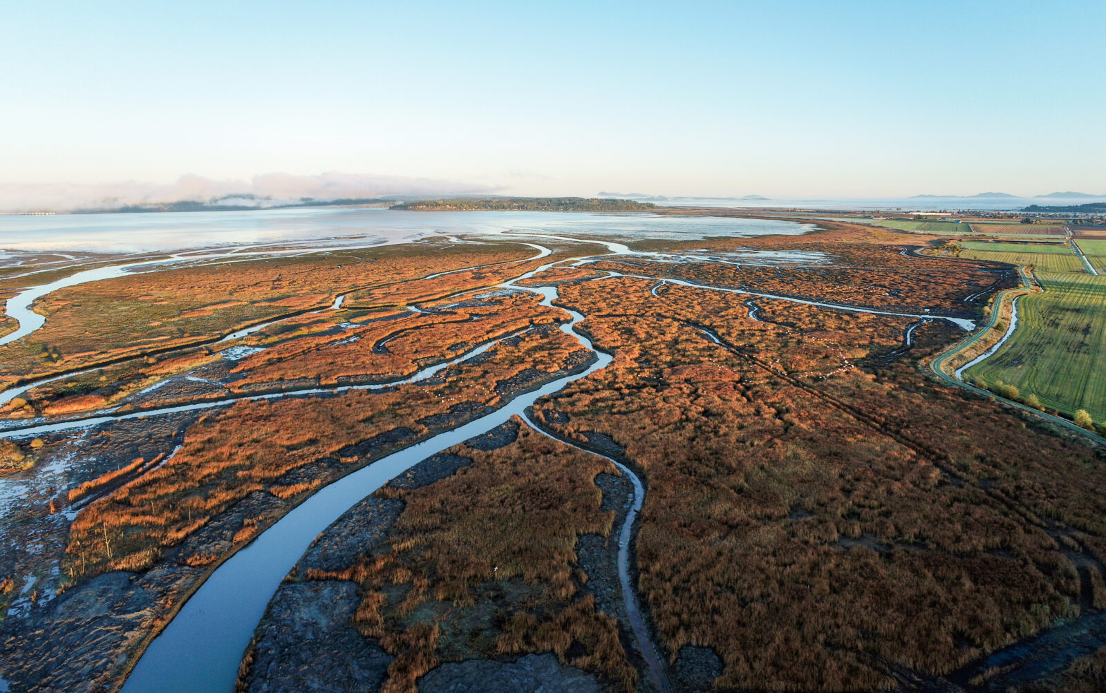 Port Susan Restoration Project