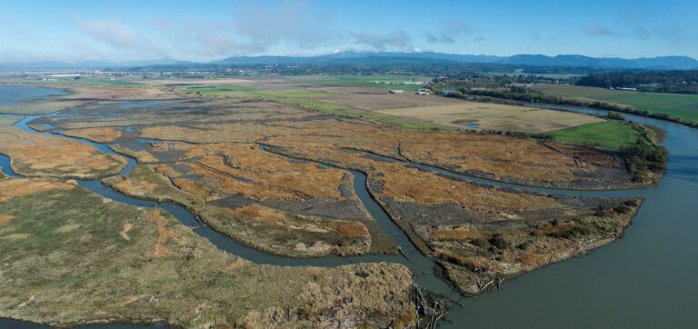 Port Susan Restoration Project