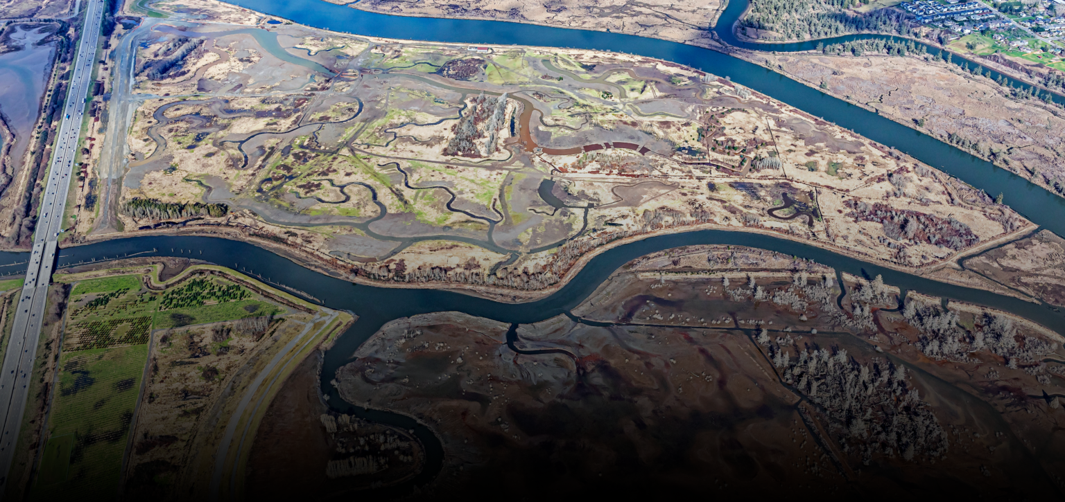 Blue Heron Slough Project Conservation and Mitigation Bank ...