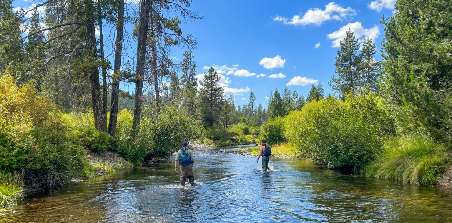 About — Environmental Science Associates
