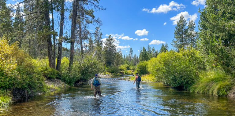 About — Environmental Science Associates