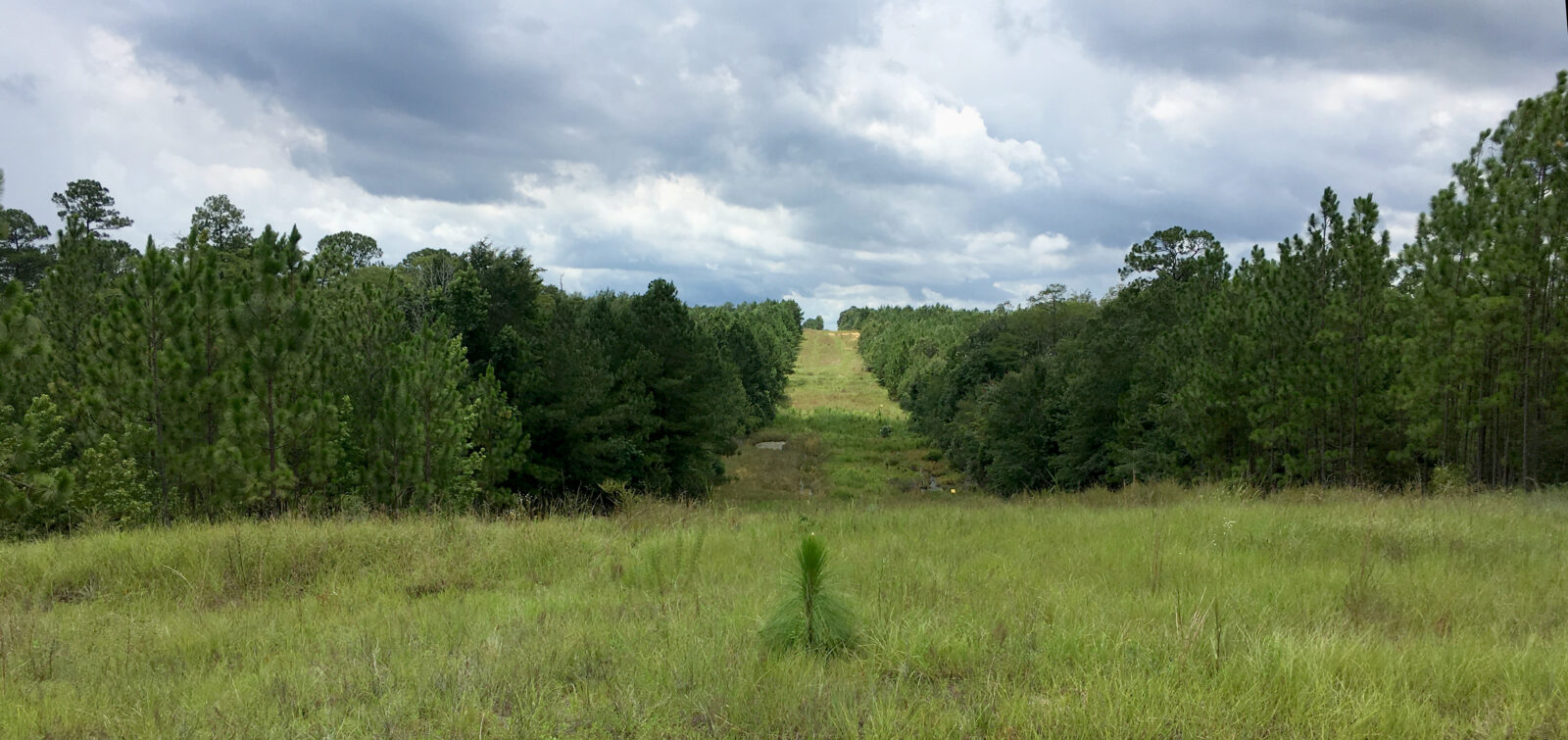 Transmission and Distribution — Environmental Science Associates
