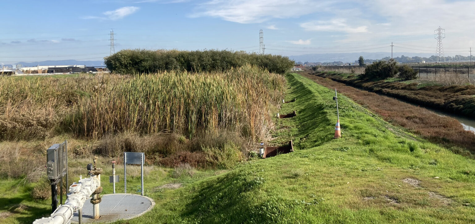 Oro Loma Horizontal Levee — Environmental Science Associates
