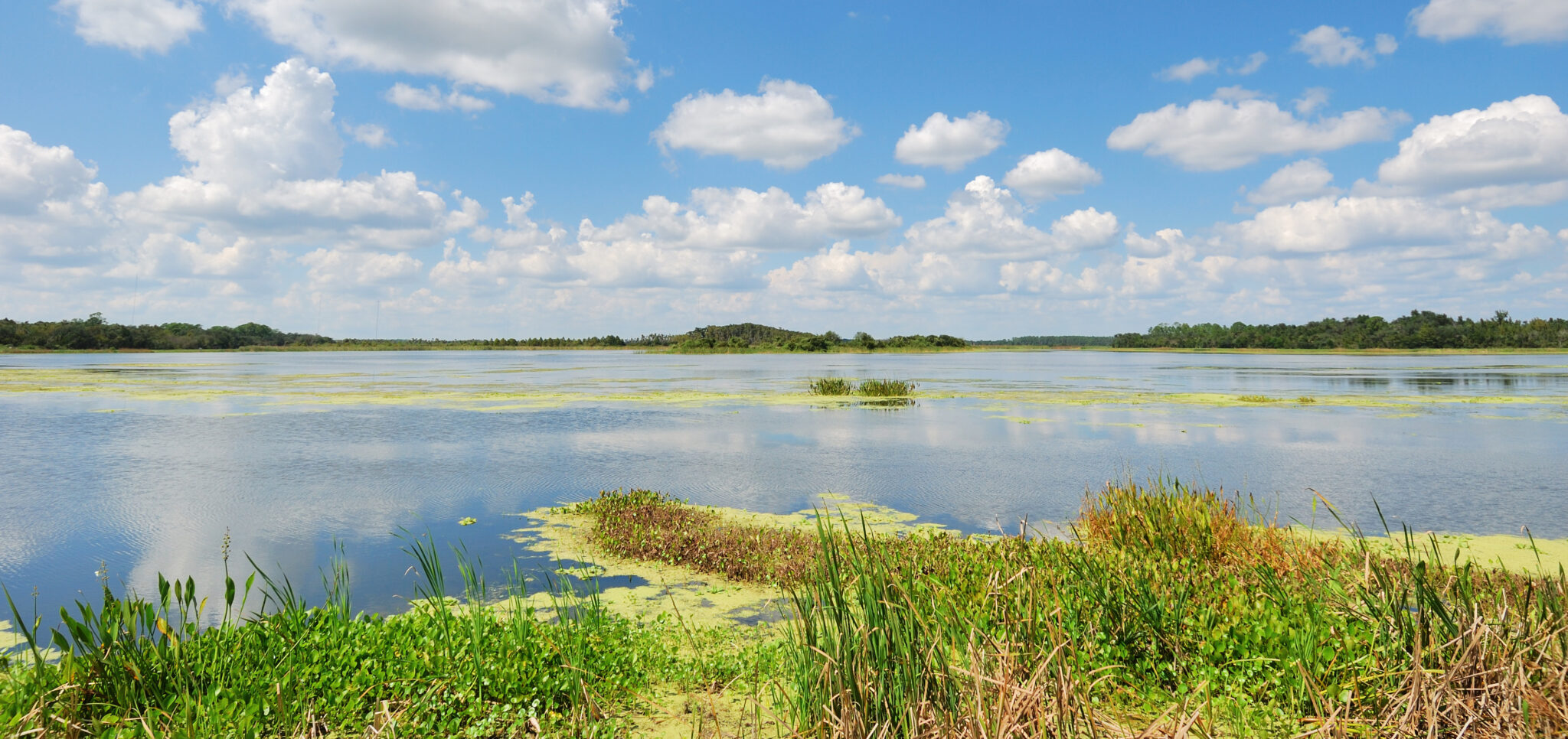 Florida's Water Future: Navigating the Shifting Tides of SB 64 ...