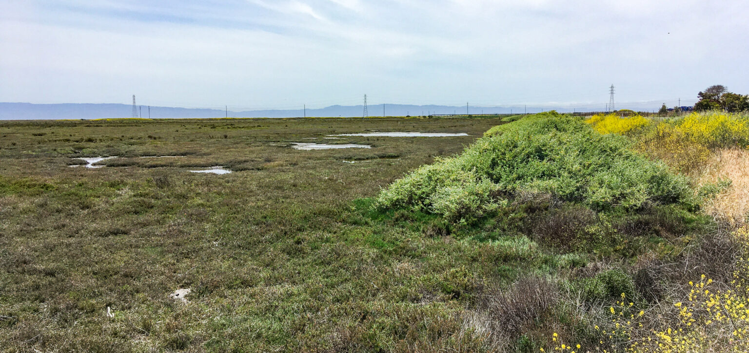 First Mile Horizontal Levee — Environmental Science Associates