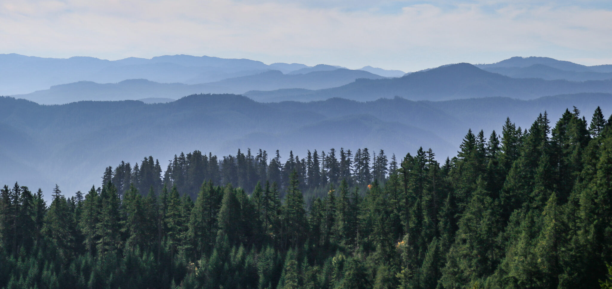 Environmental Science Associates