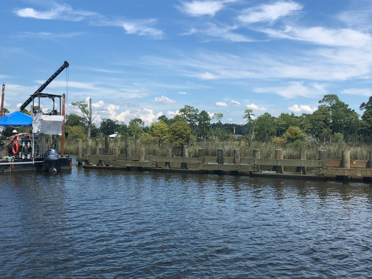 A Decade of Restoration on Alabama’s Coast — Environmental Science ...