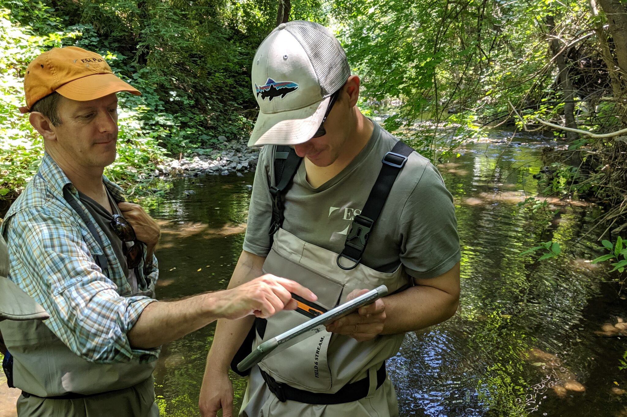 Environmental Science Associates